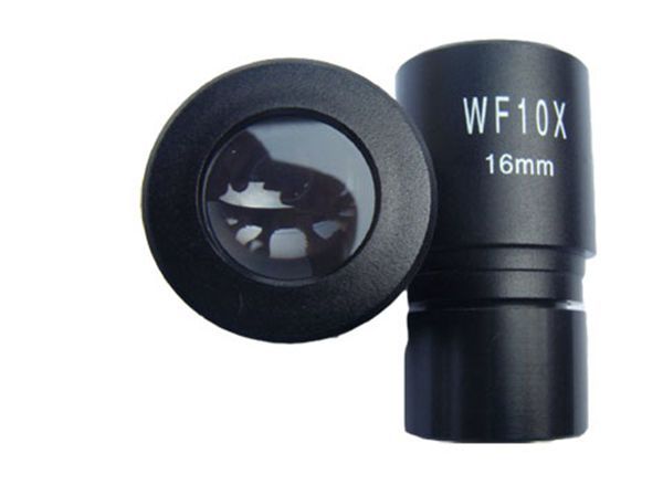 10X Biological Microscope Eyepiece 23.2mm Caliber Wide Field Ocular ...