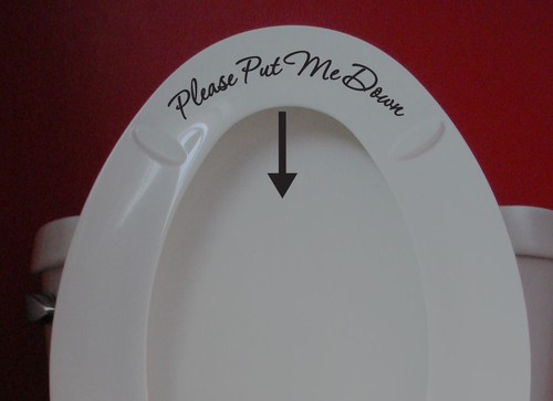 Toilet Seat Sign Sticker Decal "Please Put Me Down Funny Humorous ...
