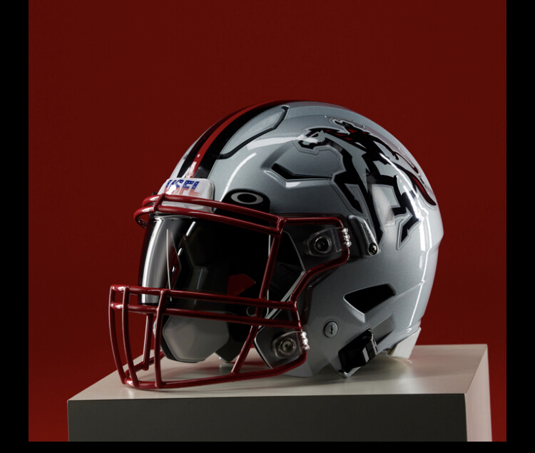 Tampa Bay Bandits NEW USFL custom pocket pro helmet | eBay