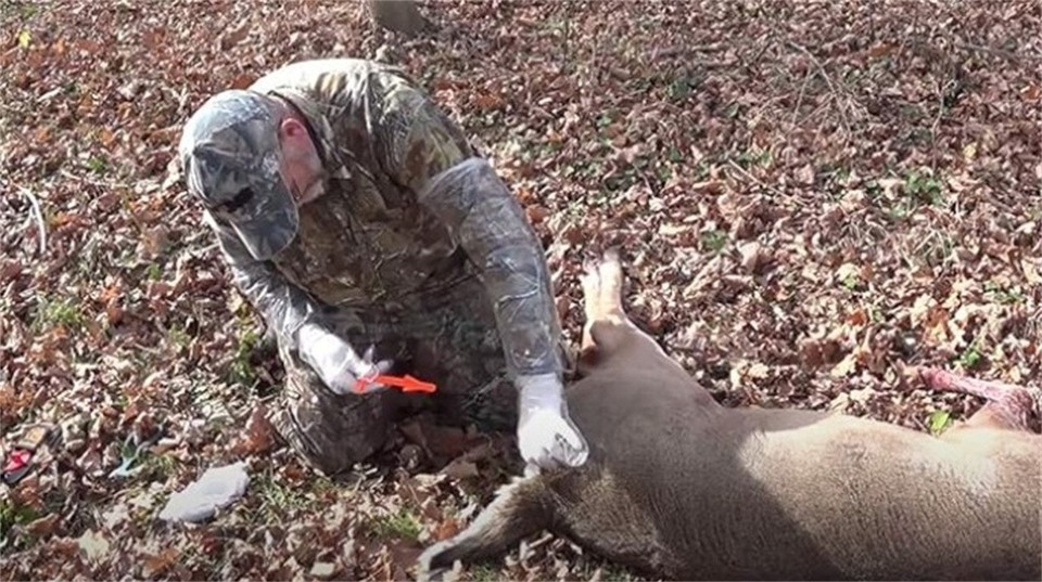 For Deer Hunting 10.63" Deer Butt Out Field Dressing Anal Removal Tool ...