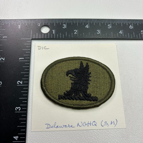 Subdued Merrowed Edge DELAWARE National Guard Patch 39N9 | eBay