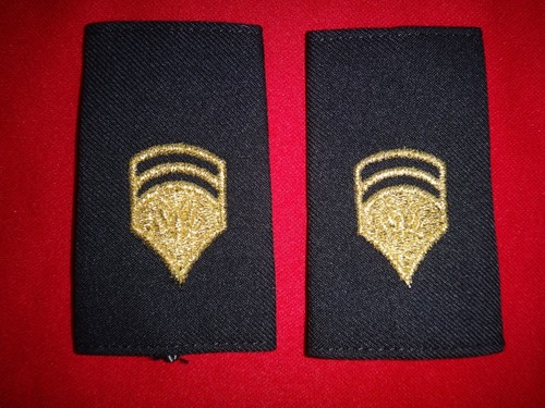 Pair Of US Army Specialist SPEC. 6 Rank Small Epaulets, By DAAL ...