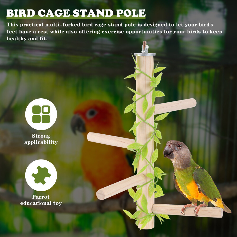 True Happiness Branch X