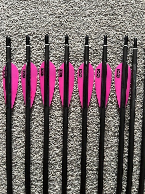 easton acc arrows 3L-04/750 Series DH x 9, AMO 26.5 inches, 2 bare ...