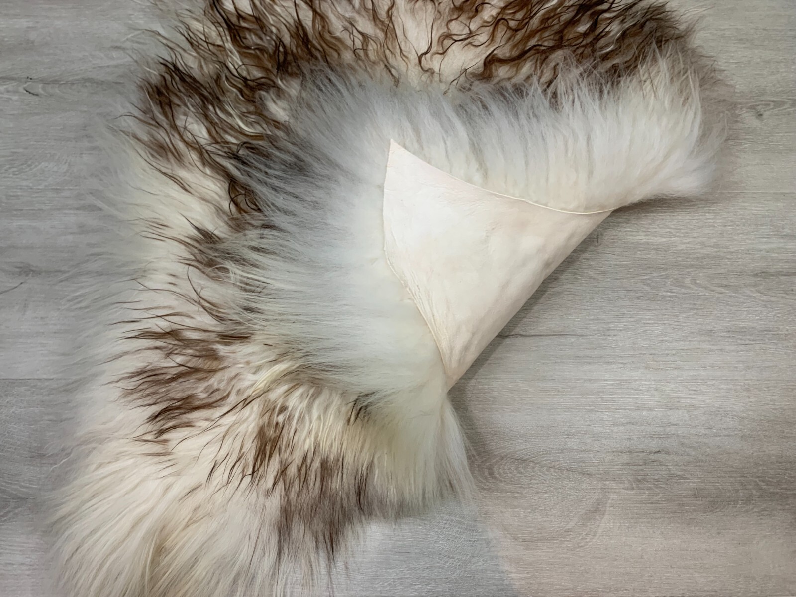 Icelandic Curly Mouflon Brown Pelt Throw Blanket Hide Genuine Sheepskin ...