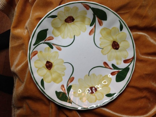 Blue Ridge Southern Pottery Sunbright Pattern Vegetable 8 in Colonial ...