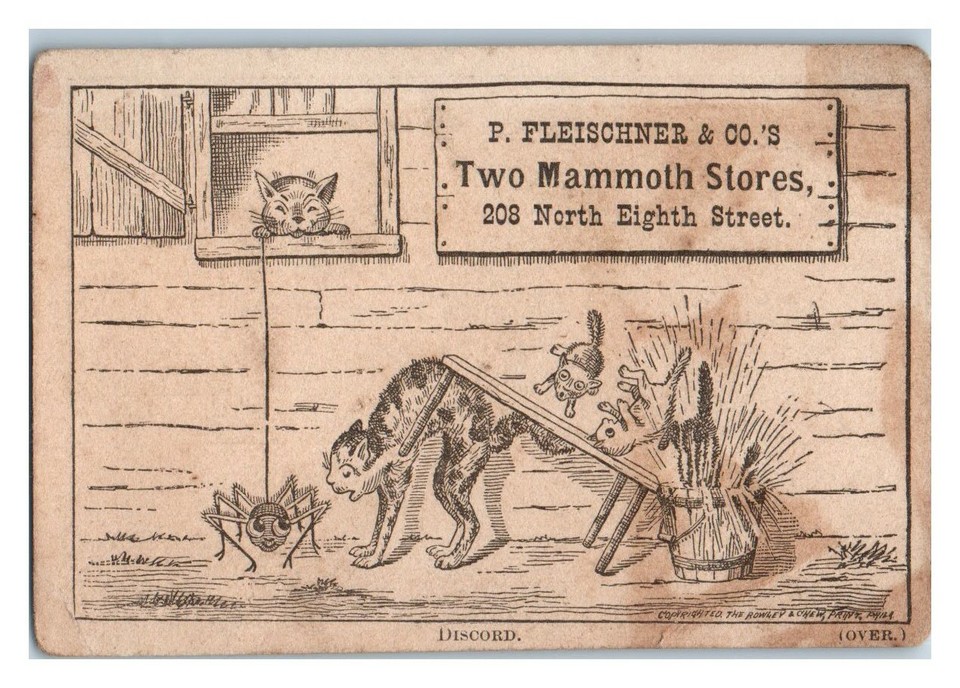 Cat Lowers Spider, P. Fleischner & Co. Stores Philadelphia Victorian ...