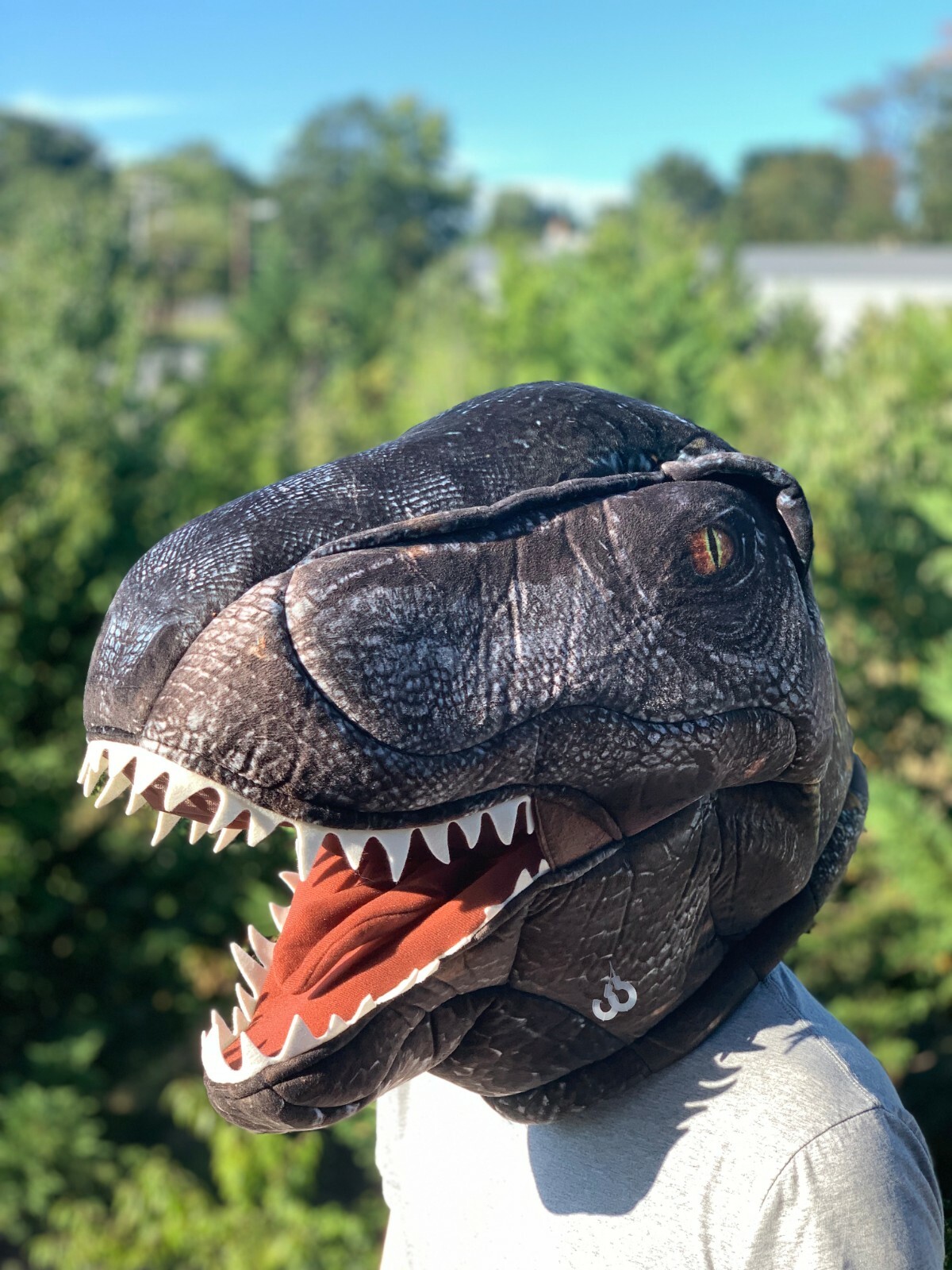 Jurassic World Dinosaur Head Mask Plush Soft Costume … - Gem