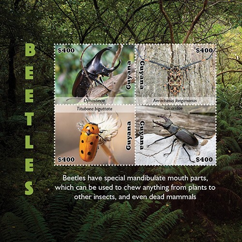 Guyana 2020 - Beetles Insects Bugs - Sheet of 4 Stamps - Scott #4640 ...