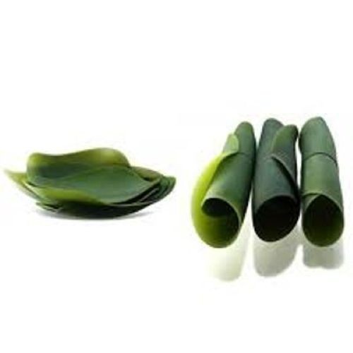 Hoja de guineo para pastele pr | eBay