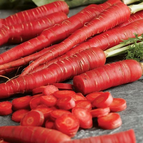 CARROT Ruby Queen 100 Seeds LONG vegetable garden F1 Hybrid AUTUMN ...