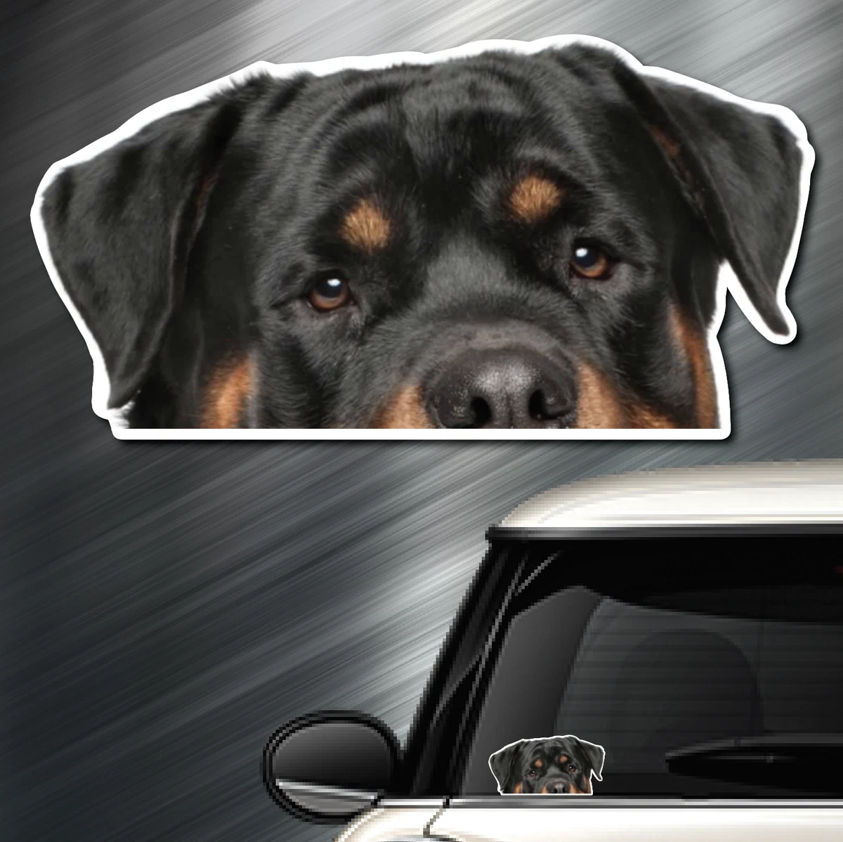 Rottweiler Decal