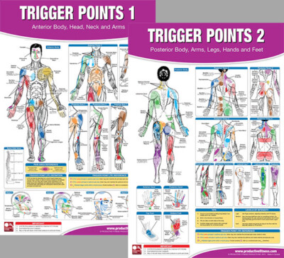 TRIGGER POINTS Professional Fitness Physiotherapy Wall Charts 2 24x36 ...