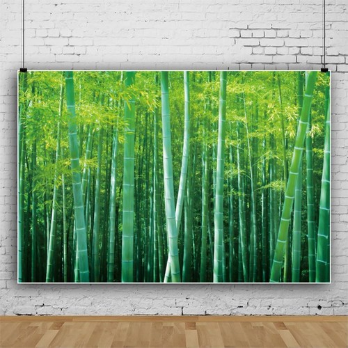 Nature Scenery Bamboo Forest Backdrop Birthday Photography Background ...