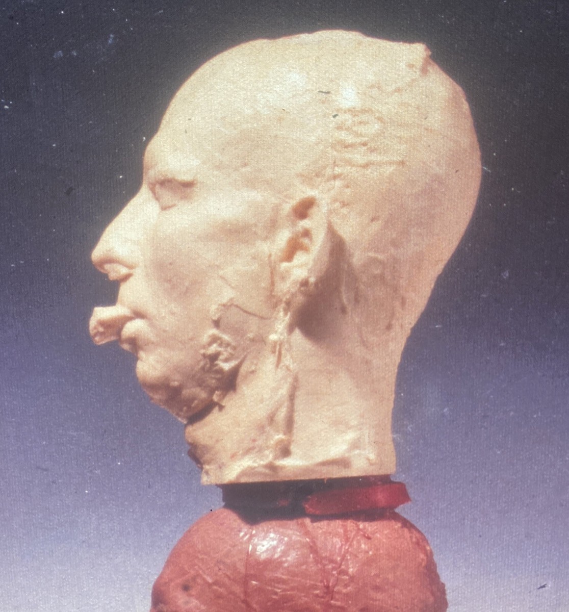 Bruce Nauman Portrait