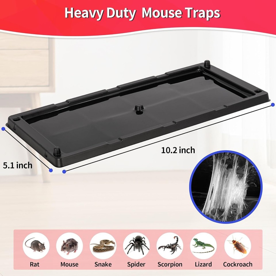 Mouse Glue Traps 6 Packs Large Glue Traps for Mice and Rats Indoor ...