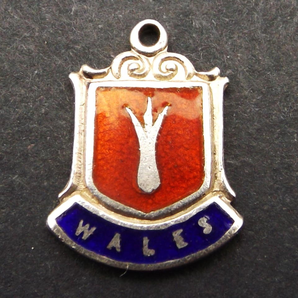 WALES Leek vintage sterling silver and enamel travel country bracelet ...
