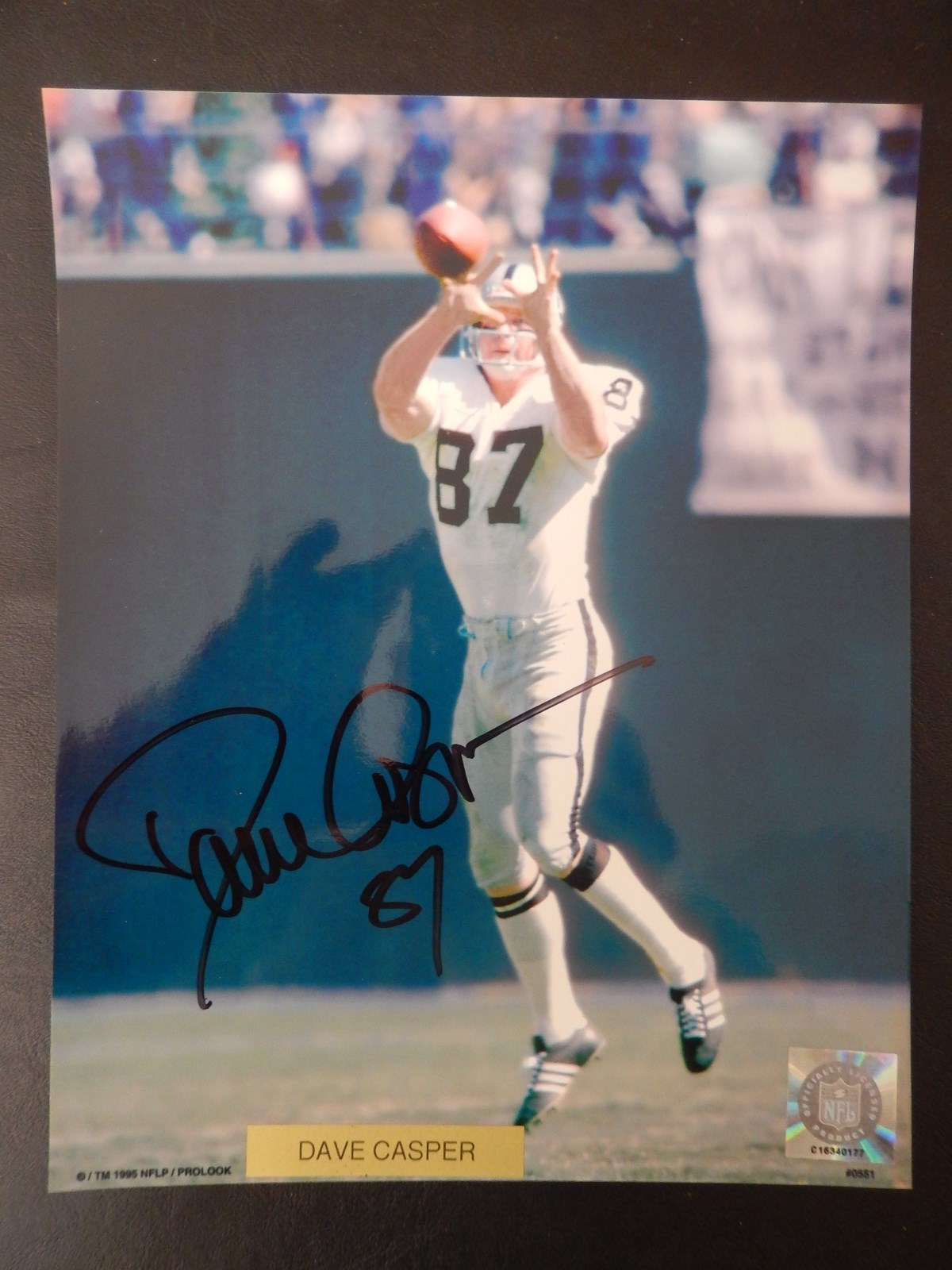 Dave Casper Autographed 8" X 10" Photograph - Hall Of Famer | eBay