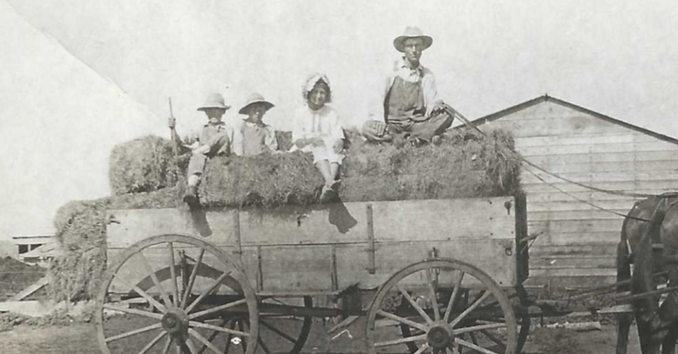 Lumber Wagon Filled with Hay & Children-Real hoto Postard-Unused | eBay