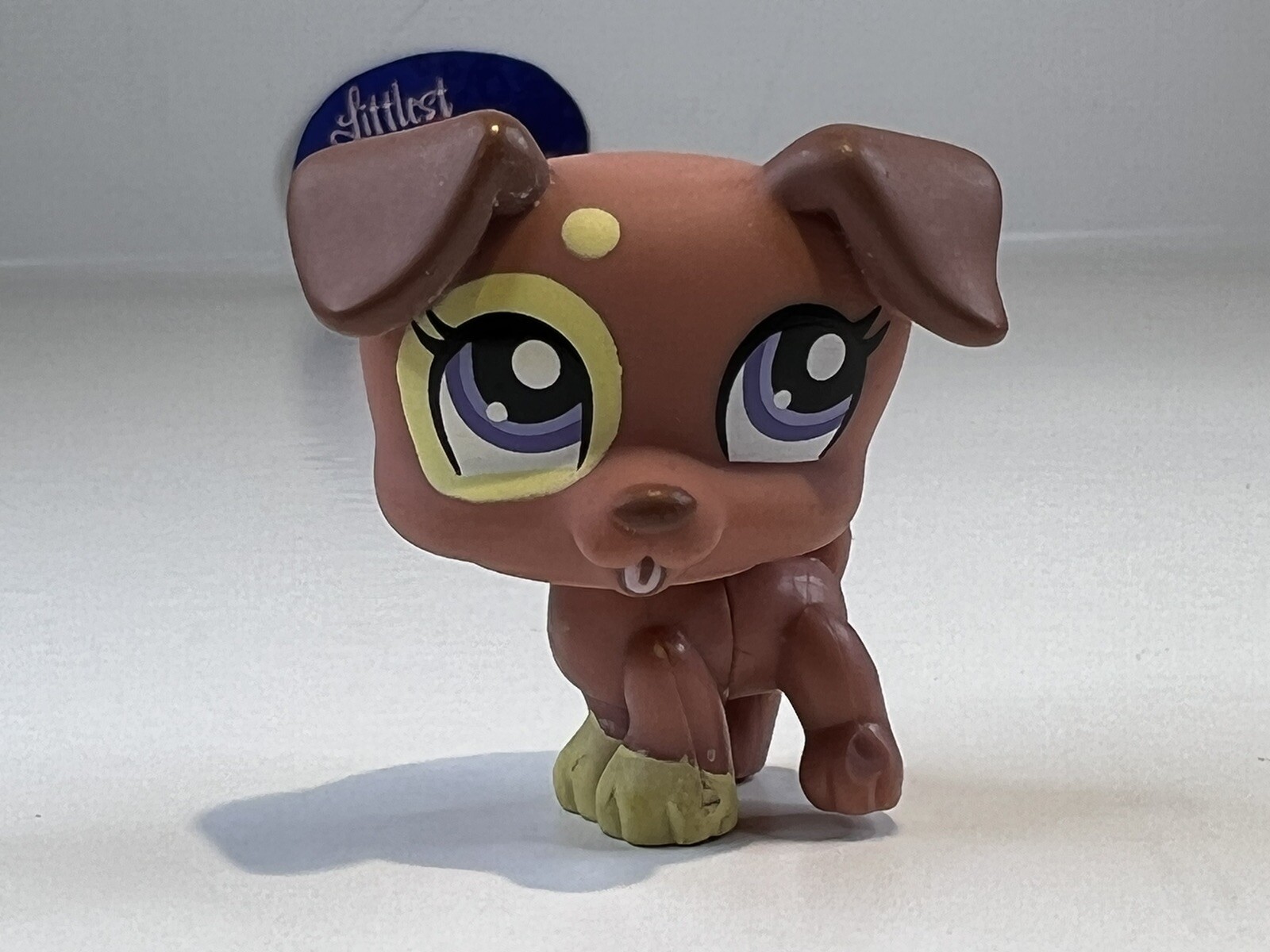 Littlest Pet Shop Wallpaper Dog