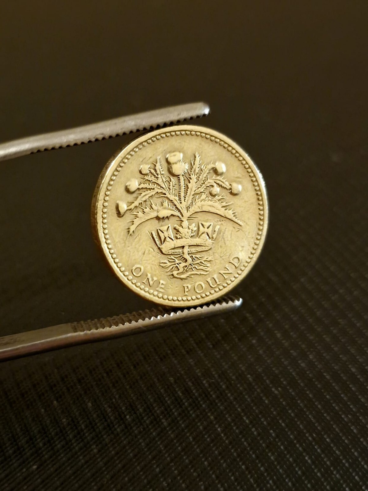 rare 1 pound coin | eBay UK