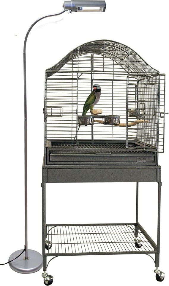Zoo Med Avian Sun Deluxe Floor Lamp For Birds Full Spectrum Uvb Uva ...