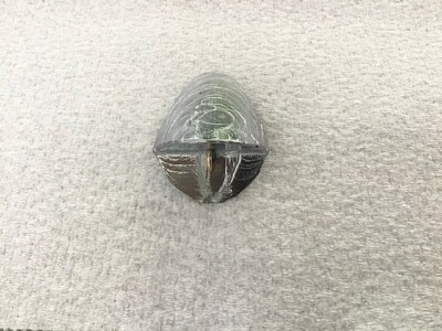 4OZ 12pcs. FROG TONGUE/SURF SINKERS FISHING WEIGHTS LEAD FREE SHIPPING ...