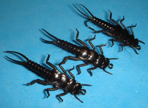 FLY FISHING FLIES - Black REALISTIC STONE Nymph (weighted) size #6 (3 ...