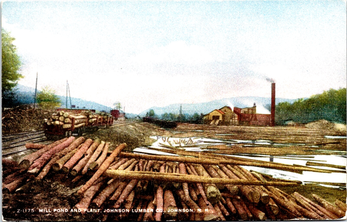 Postcard Johnson New Hampshire Johnson Lumber Co Mill Pond and Plant ...