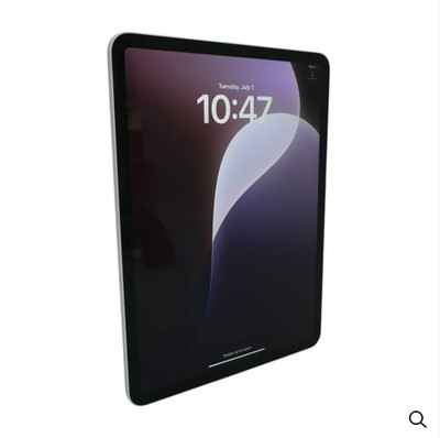 Apple iPad Pro 11-inch (2nd generation) A2228 256 GB, Wi-Fi, 11 in ...