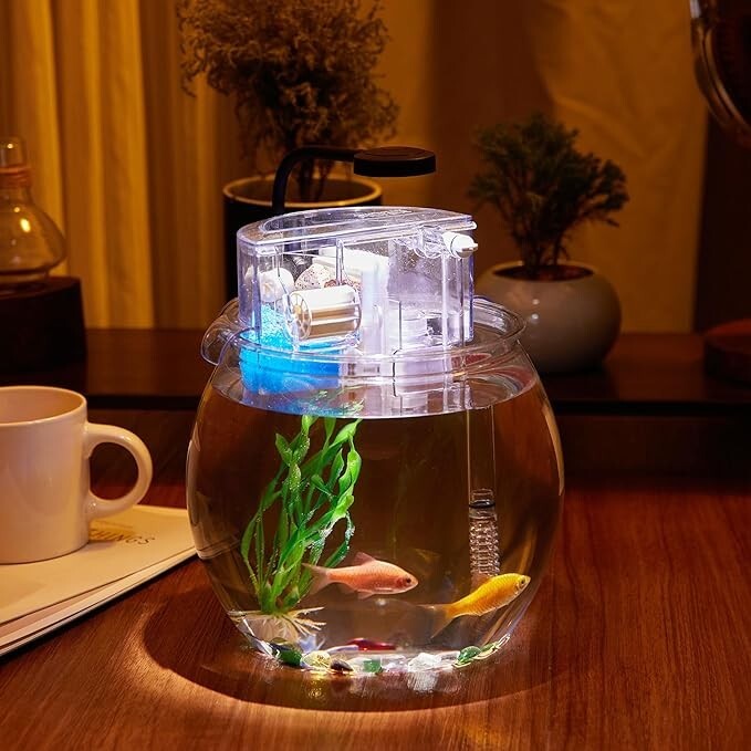 Aquarium Small Fish Tank with Filter and Light Break-Resistant Plastic ...