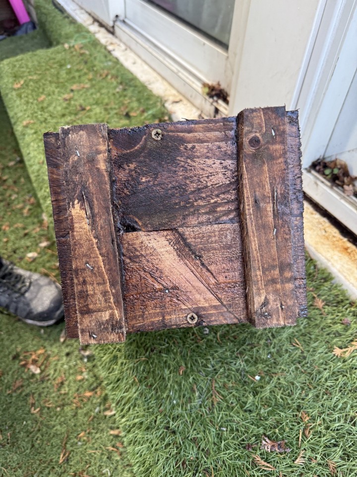 Handmade Brid House With Walnut Finish | eBay UK