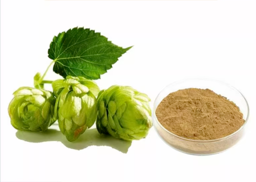 Hops Strobile Extract Powder 20:1 Humulus Lupulus Hops | eBay