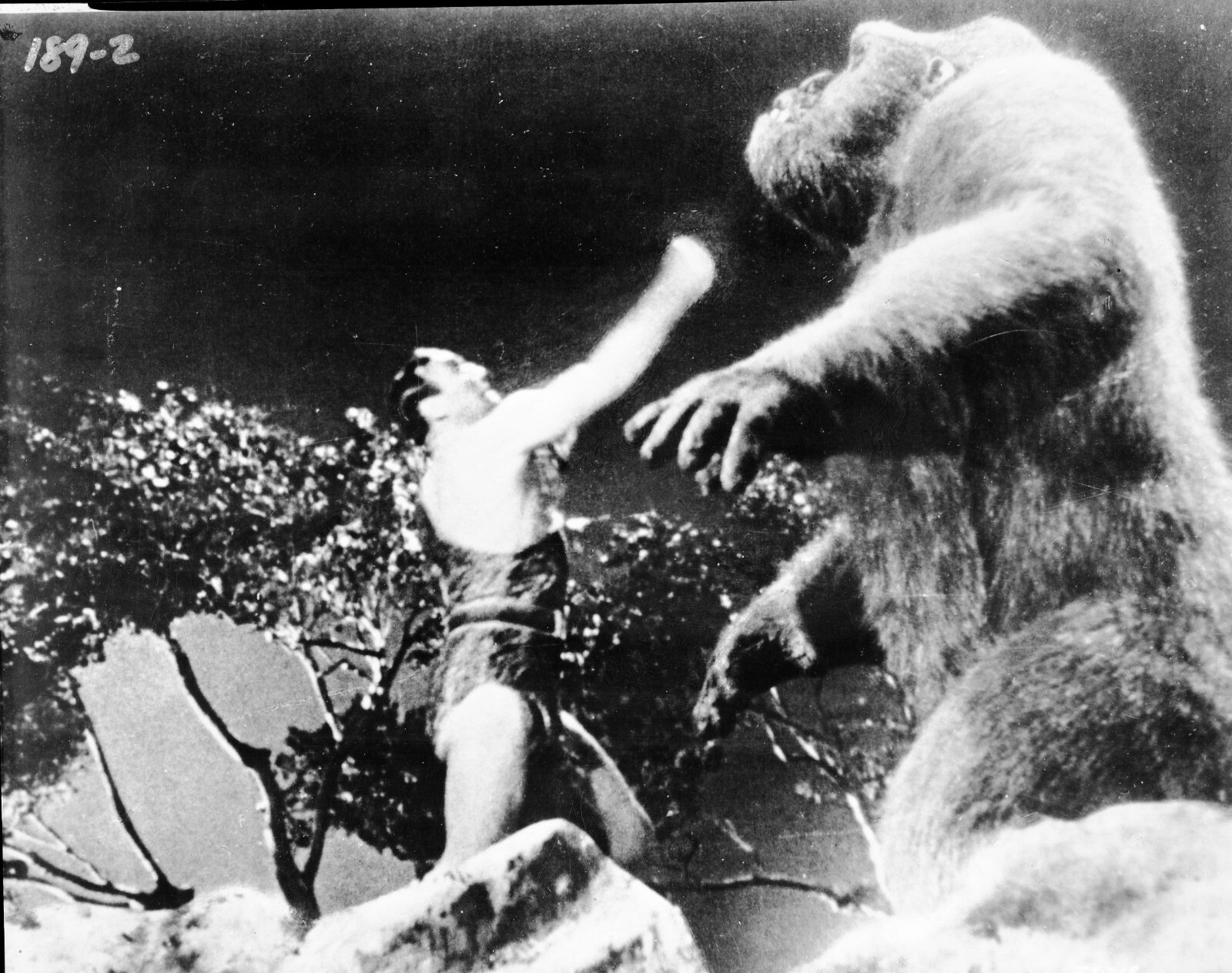 KC33-19 "MIGHTY JOE YOUNG" Vintage 8"x 10" Negtv Film 1949 GIANT ...