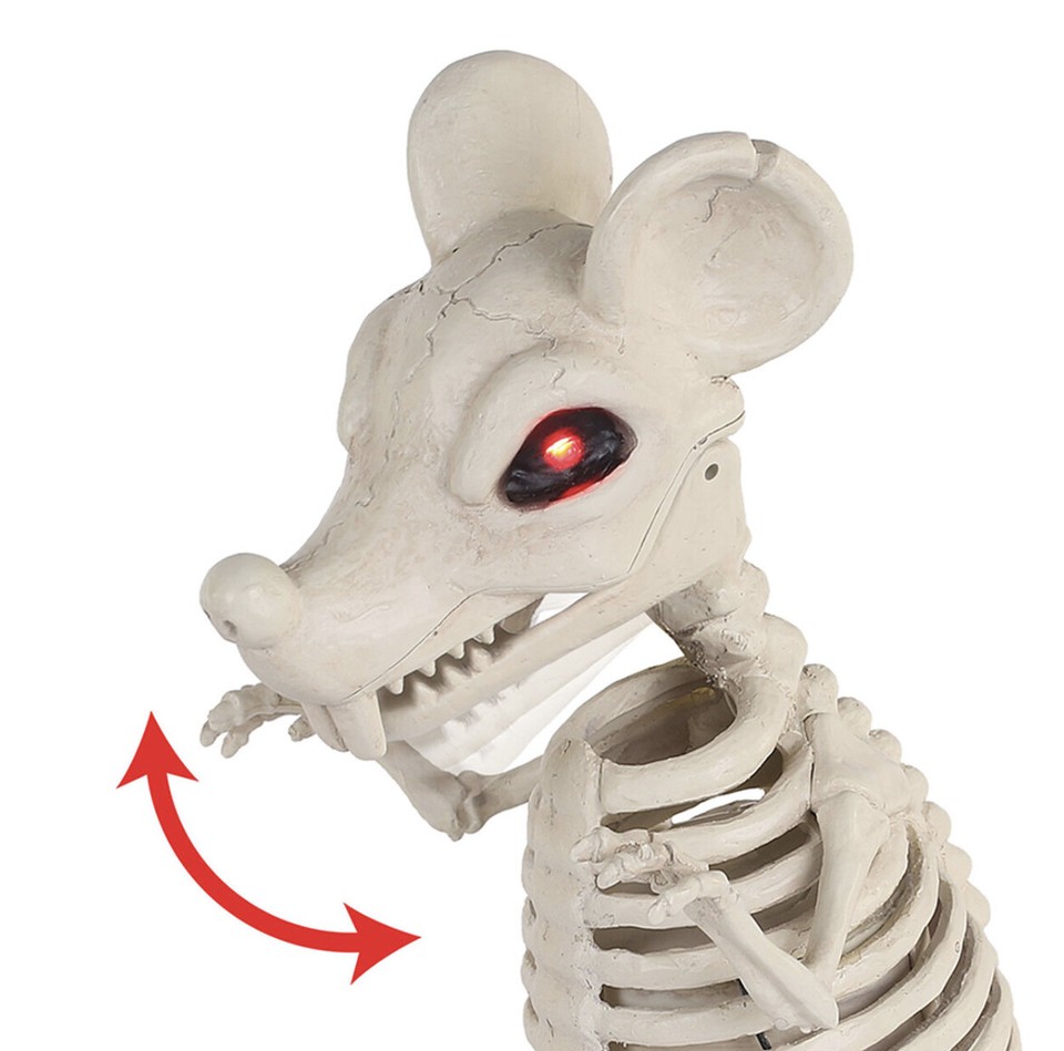 Halloween prop decor Animated Rat Skeleton, 14" seasonal (a) J9 | eBay