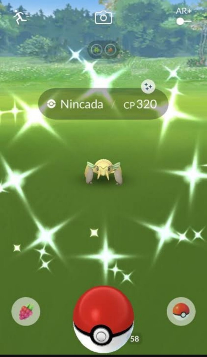 Nincada Shiny