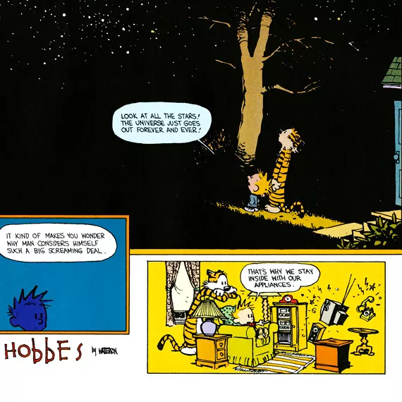 Calvin And Hobbes Comics Stars