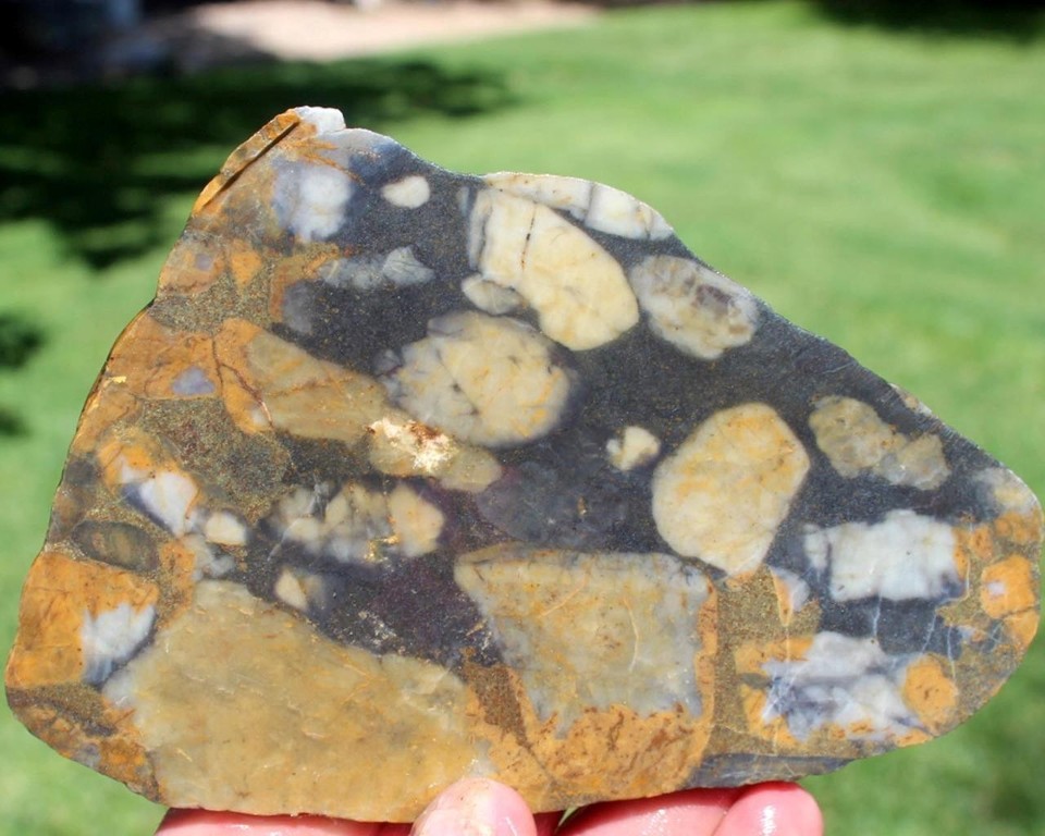 "NEW FIND" WYOMING CONGLOMERATE SLAB 155 Gram jasper/agate/rock ...