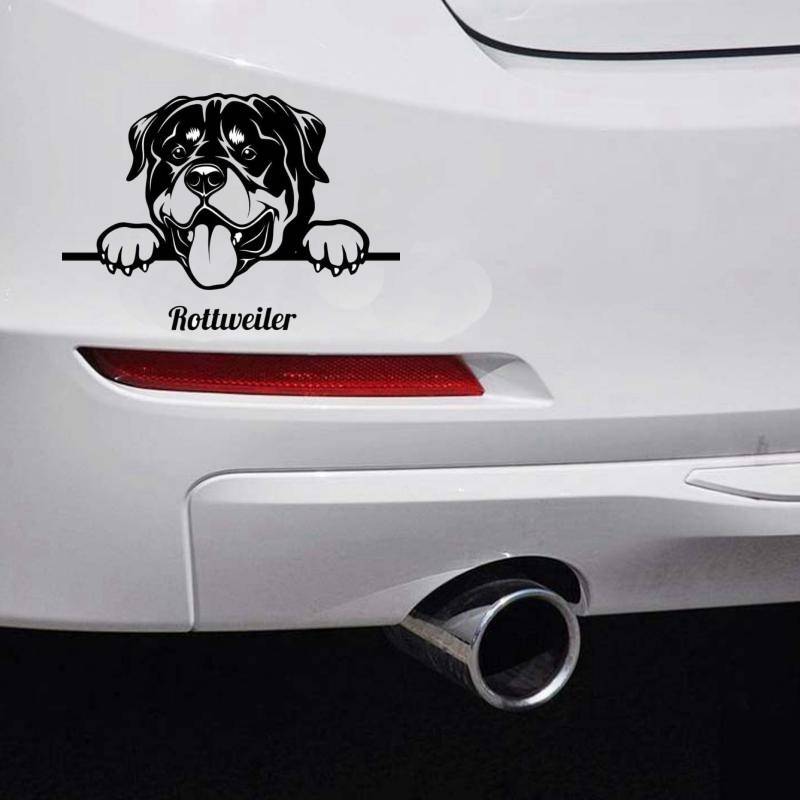 Dog Car Window Decals Stickers Biewer Yorkshire Terrier Car Sticker
