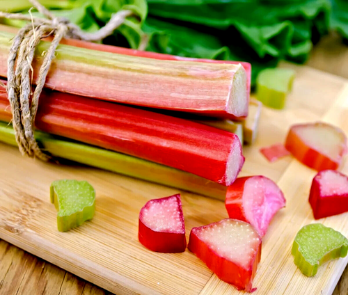 Rhubarb Roots 2 Large Mature Divisions Red Heirloom Perennial Bare Root ...