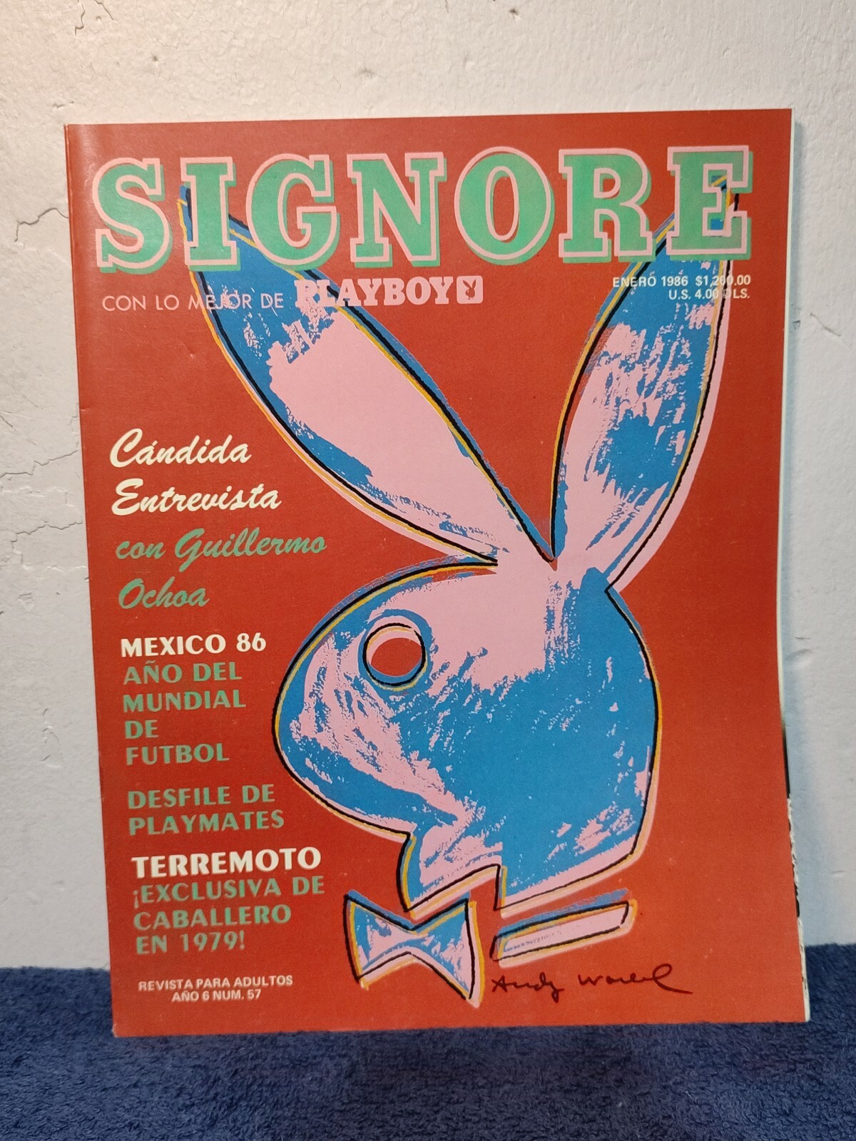 PLAYBOY Rare (SHERRY ARNETT) Magazine Mexican, January 1986 | eBay