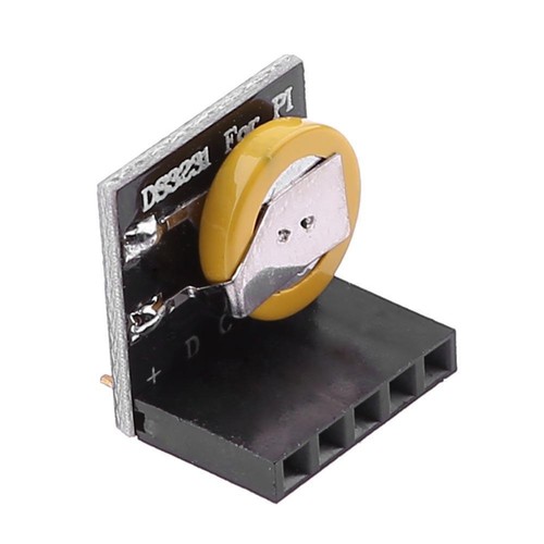 Real Time Precision DS3231 RTC Clock Memory Module for Raspberry Pi ...