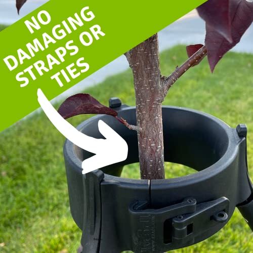 Tree Stake Kit | Version 2 | Reusable, Heavy Duty Tree Stakes and ...