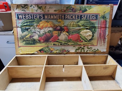 Primitives - Primitive Seed