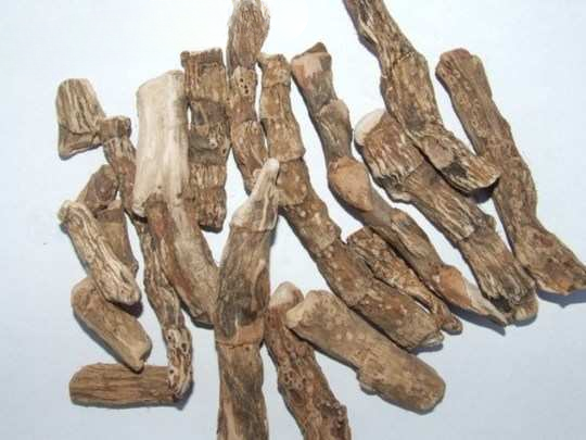 Sweet Flag Dried Root Herb 100% Natural Acorus Calamus/Vasambu Free ...