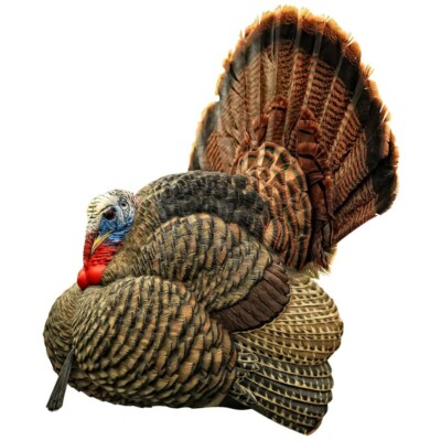 Avian-X 8004 LCD Stutter Turkey Hunting Decoy 810280080049| eBay