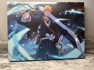 ichigo kurosaki Art | eBay