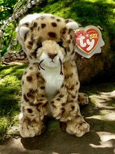 Chitraka the Cheetah - Beanie Babies - Beaniepedia