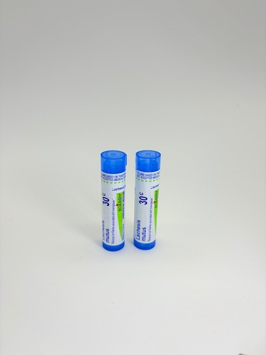2 x BOIRON Lachesis Mutus 30 C - 80 Pellets per Vial Relieves Hot ...