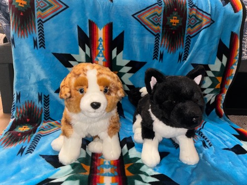 Prime Shiba Bundle: Apollo the Akita and Valley the Australian Shepherd ...